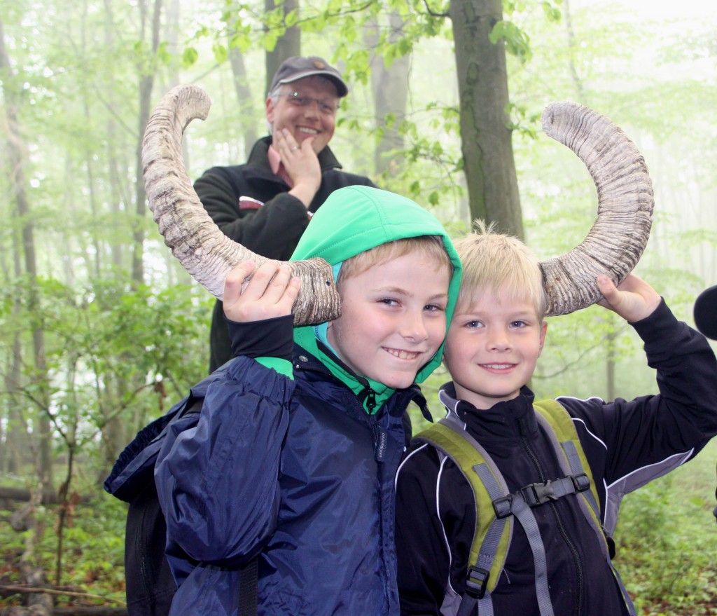 Schone Grundschule Auf Der Lieth Fotos